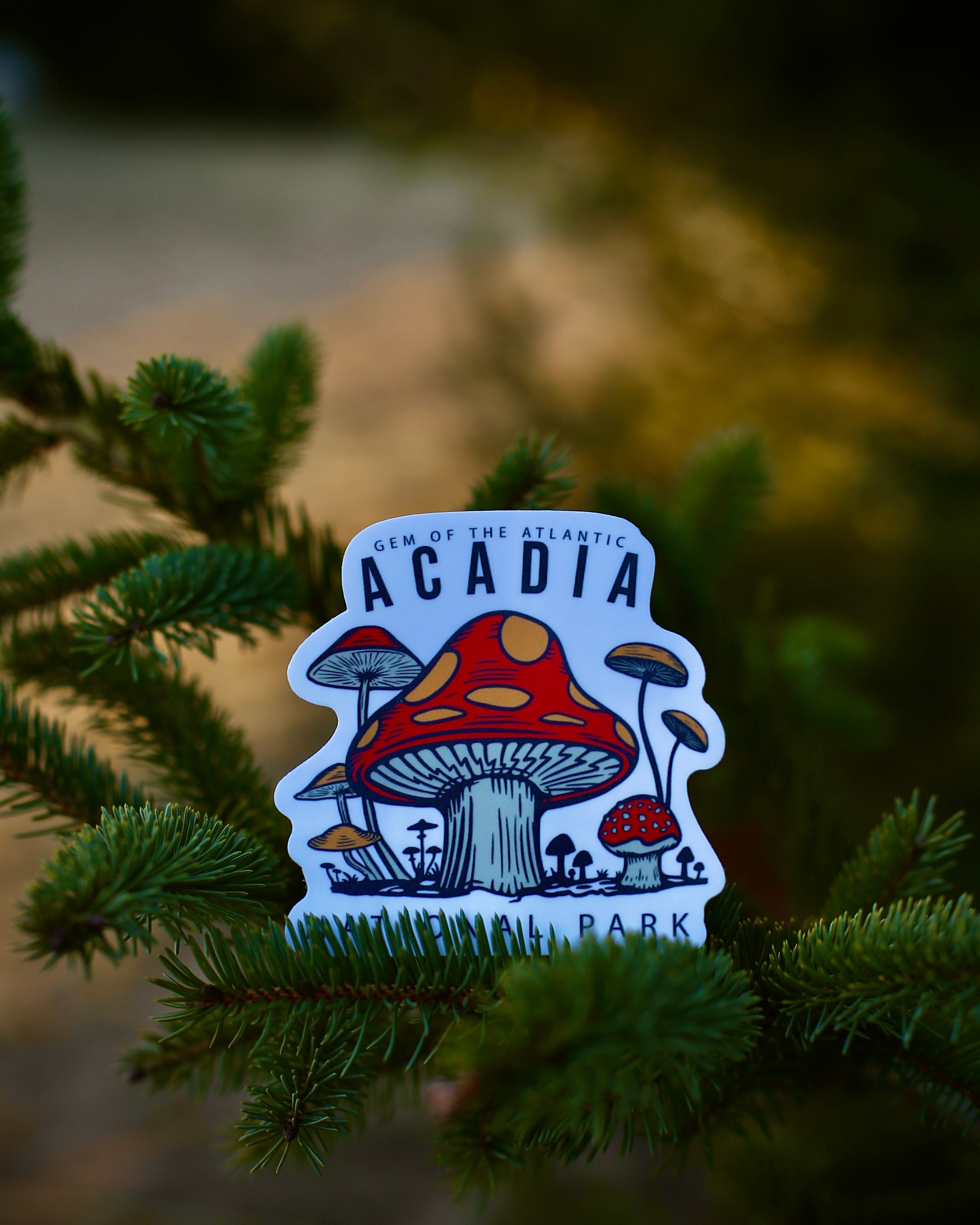Acadia Mushroom Sticker – Cool As A Moose