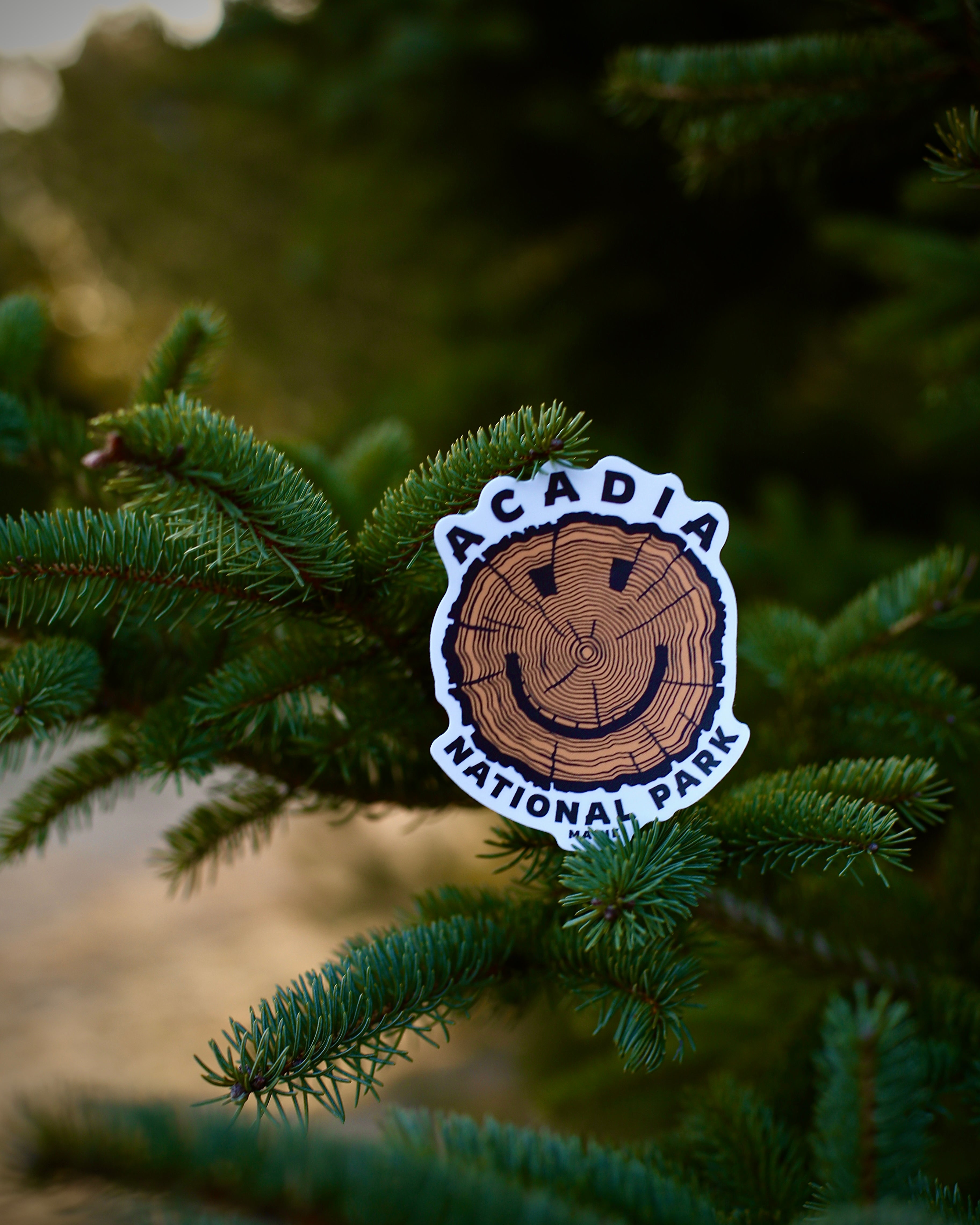 Acadia Happy Stump Sticker – Cool As A Moose