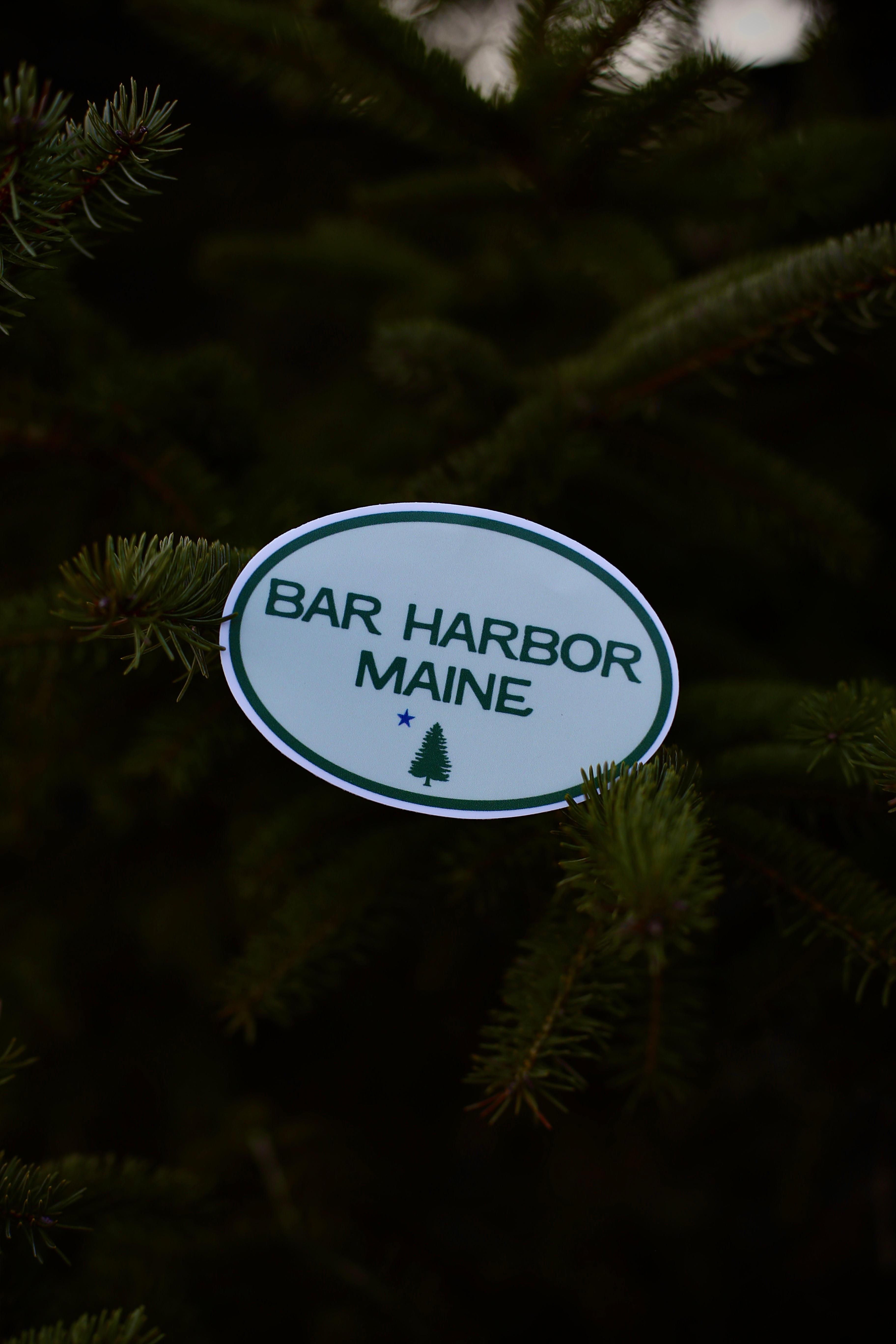 Bar Harbor Oval Sticker – Cool As A Moose