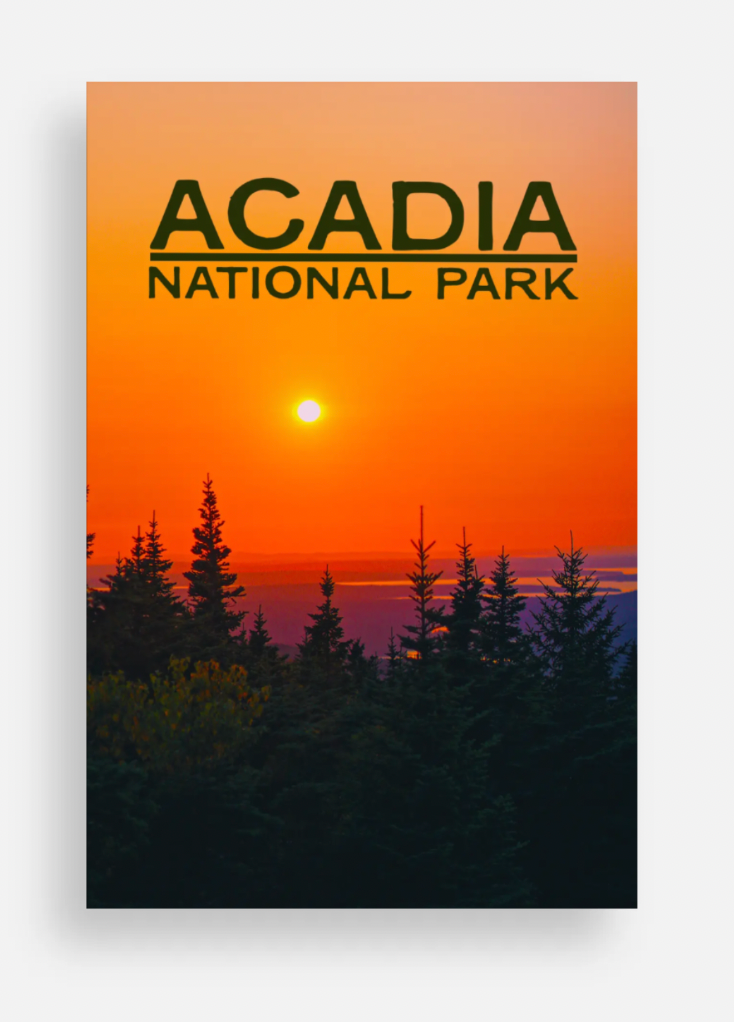 Acadia Treeline Sunset Photo Post Card – Cool As A Moose